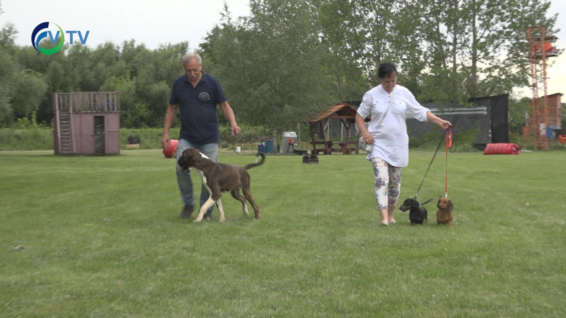 Füzesabonyi kutyások- Bemutatkozik Bíró Imre boxer tenyésztő | FüzesHírek